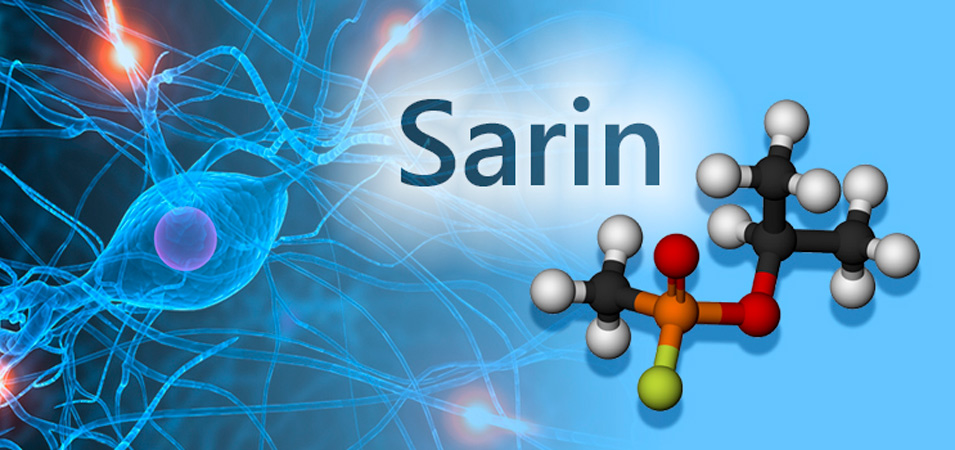 Completed Evaluations